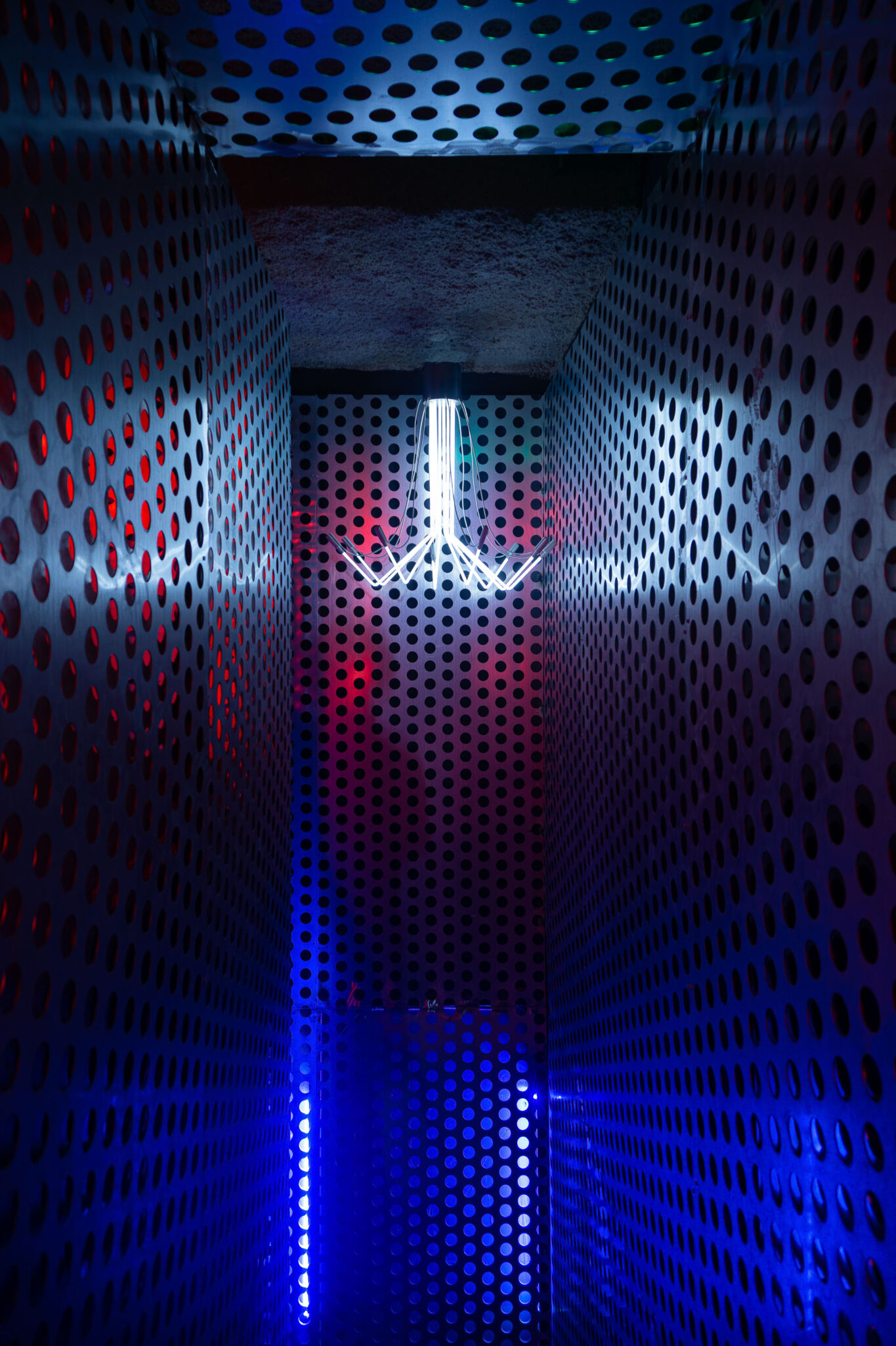 Ayı Disko – BARN arch.