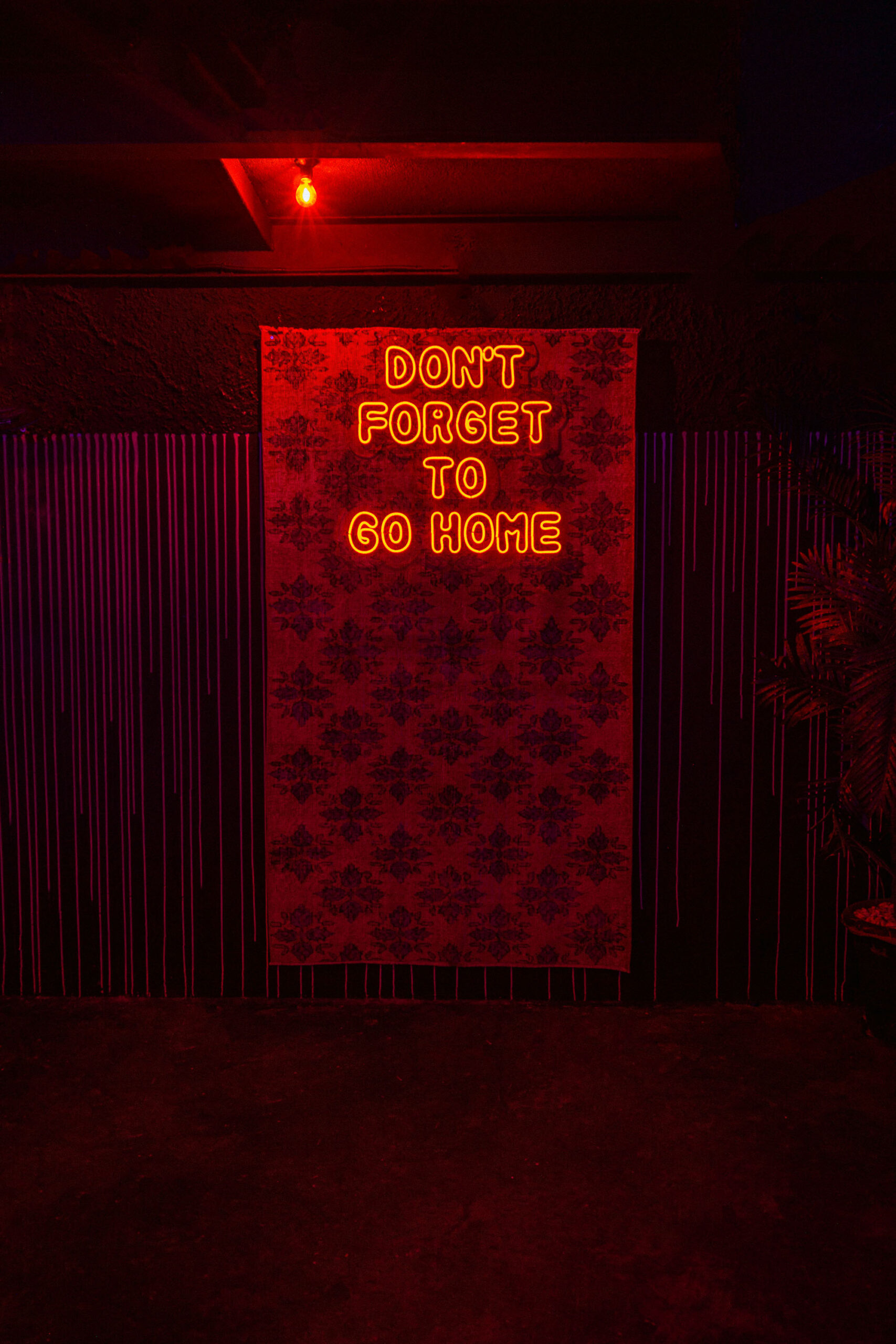 Ayı Disko – BARN arch.