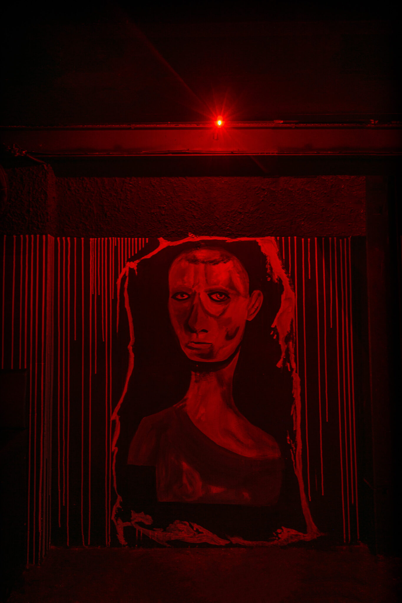 Ayı Disko – BARN arch.