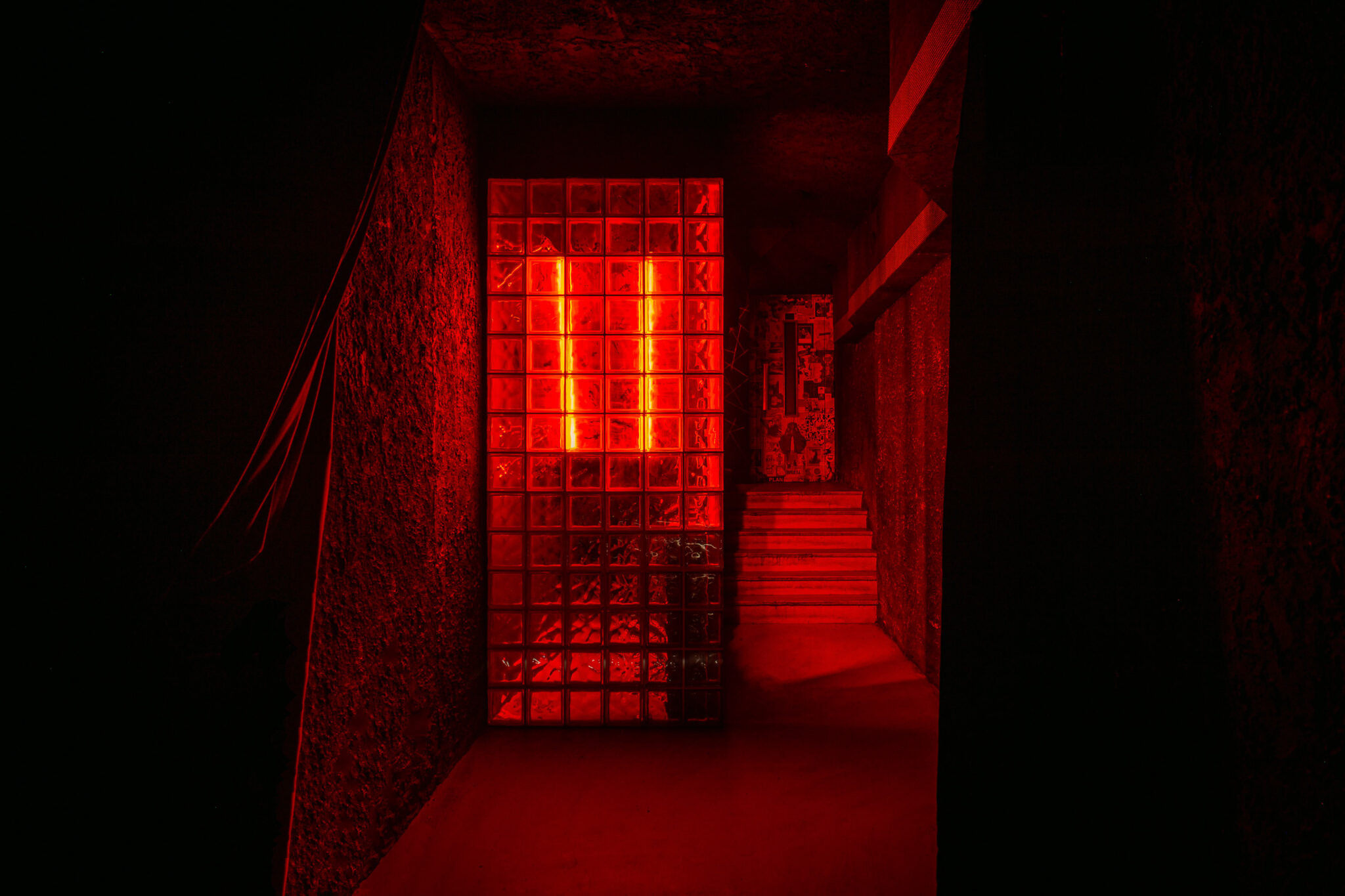 Ayı Disko – BARN arch.