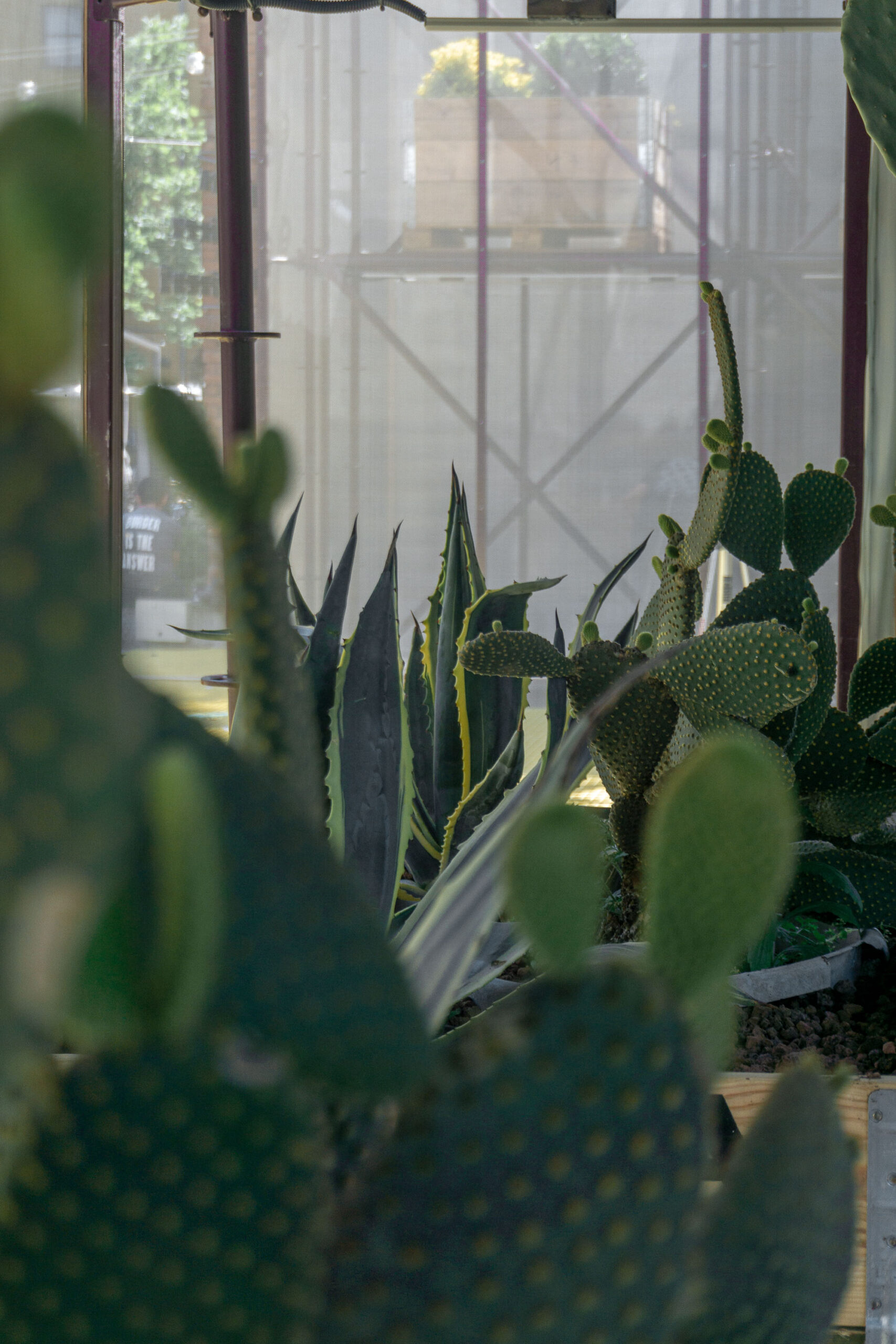 Bomontiada – BARN arch.