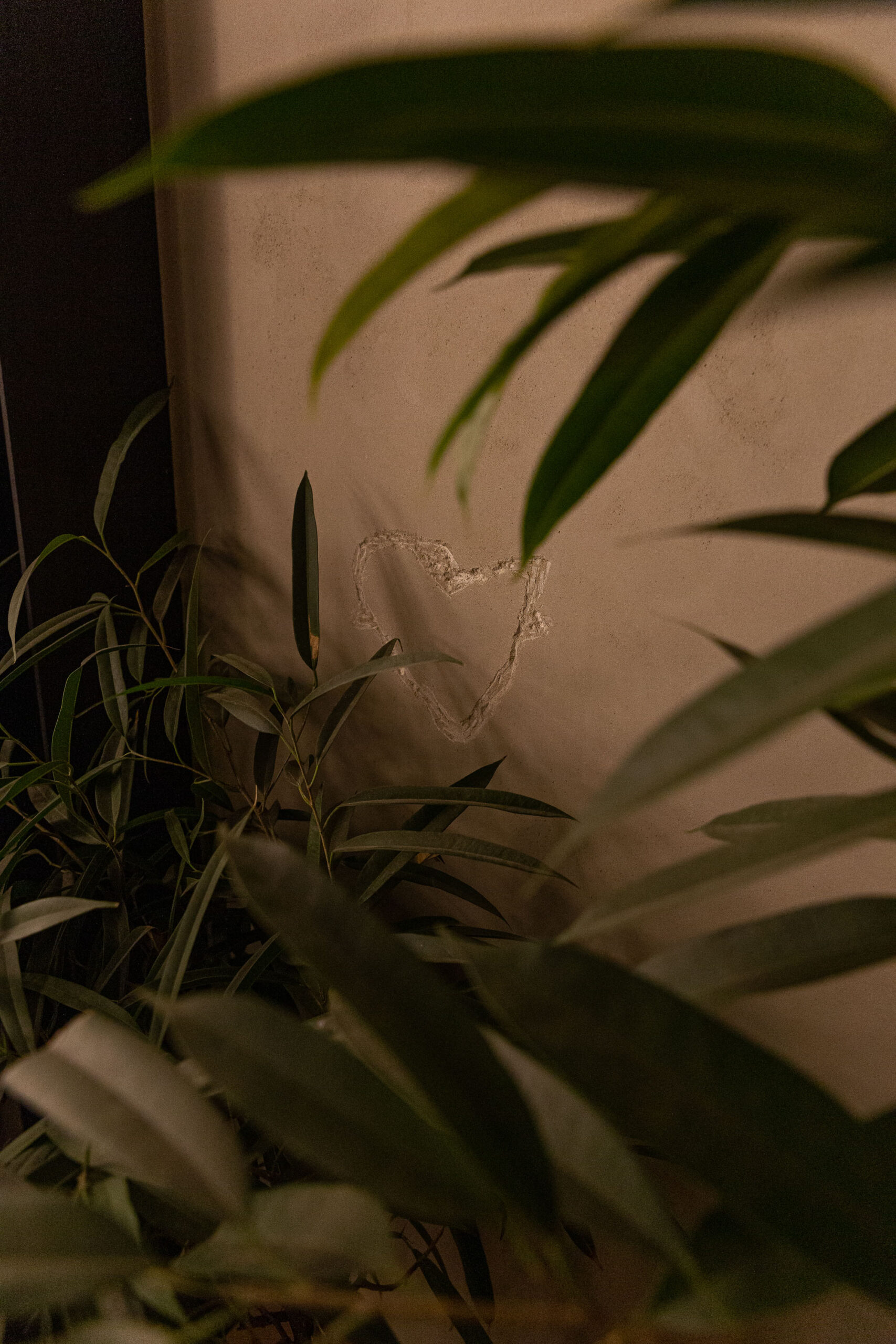 Ayı Pub – BARN arch.